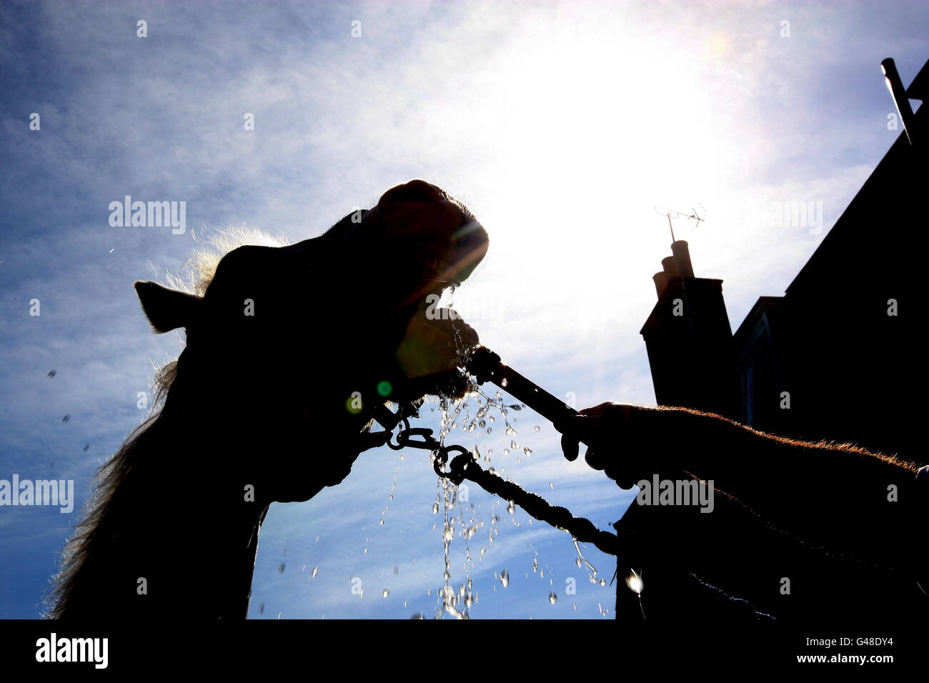 Metropolitan Police Constable Gary Wainwright washes down Dragoon ...