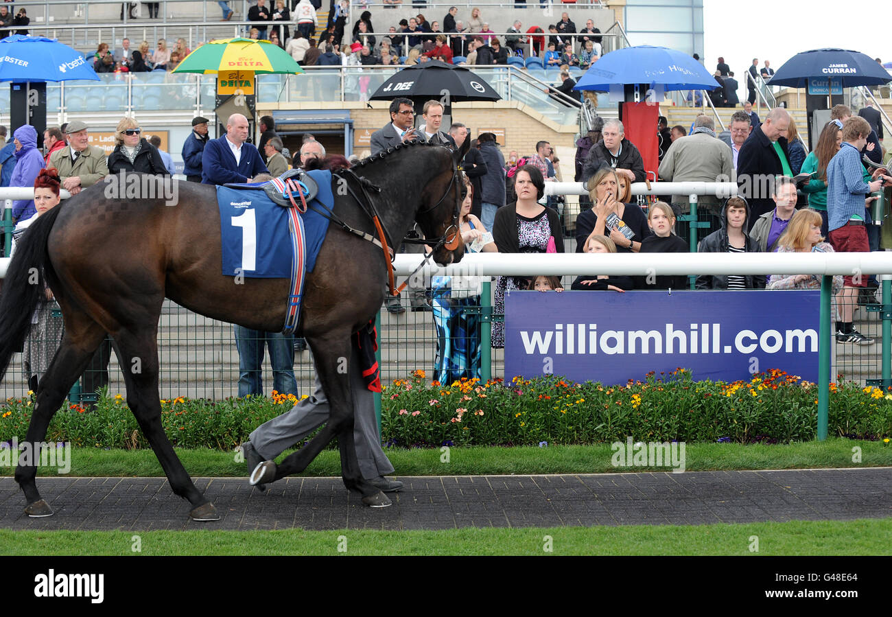 William hill branding board racegoers william hill branding sponsor ...