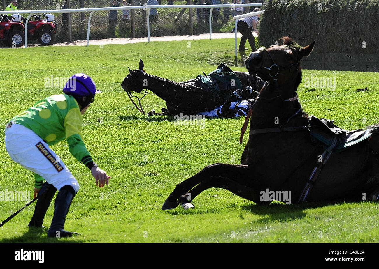 Racing aintree full length falls mangsm hli wip natpub sportreviewhorse ...