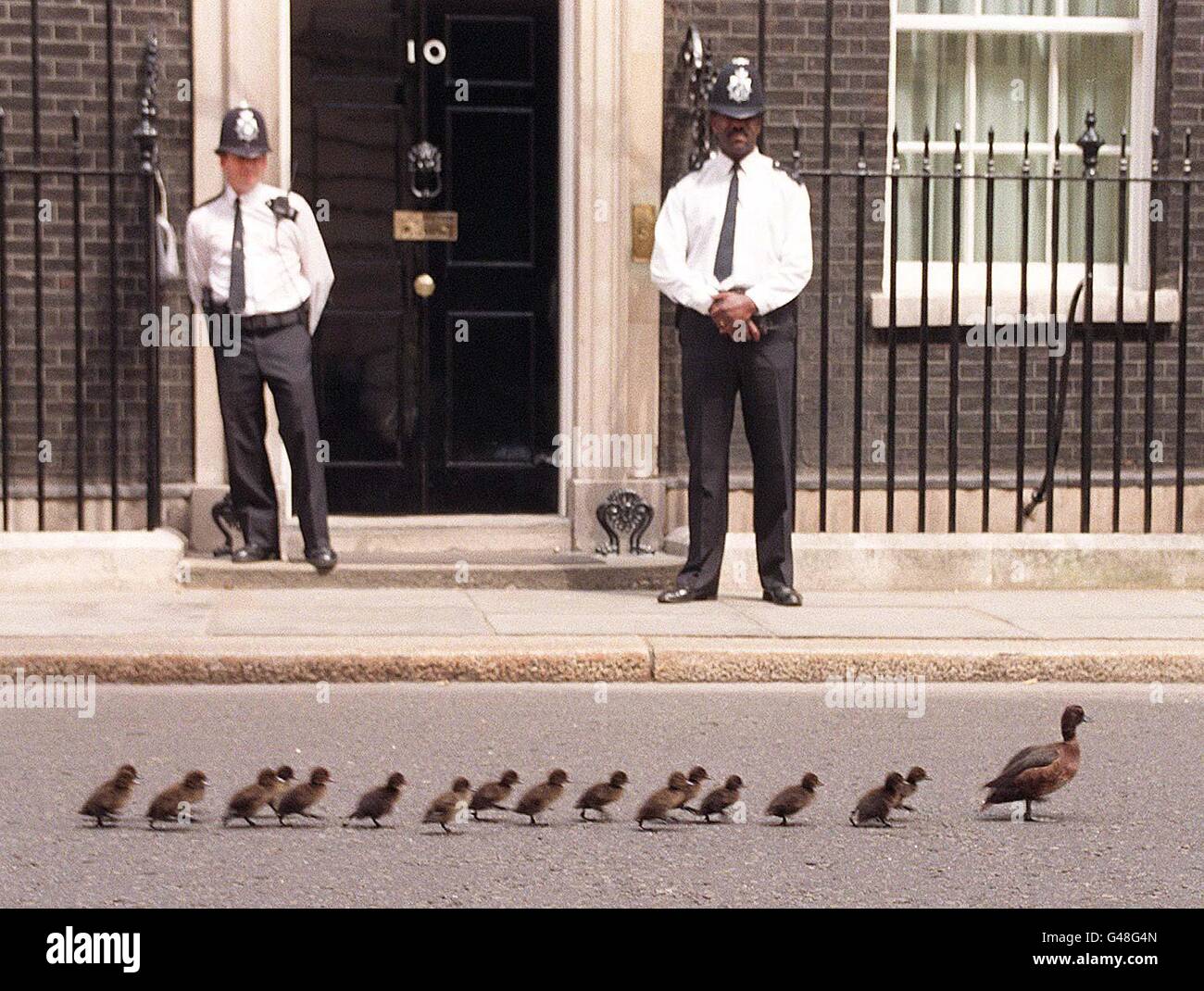 Stephen reid hi-res stock photography and images - Alamy