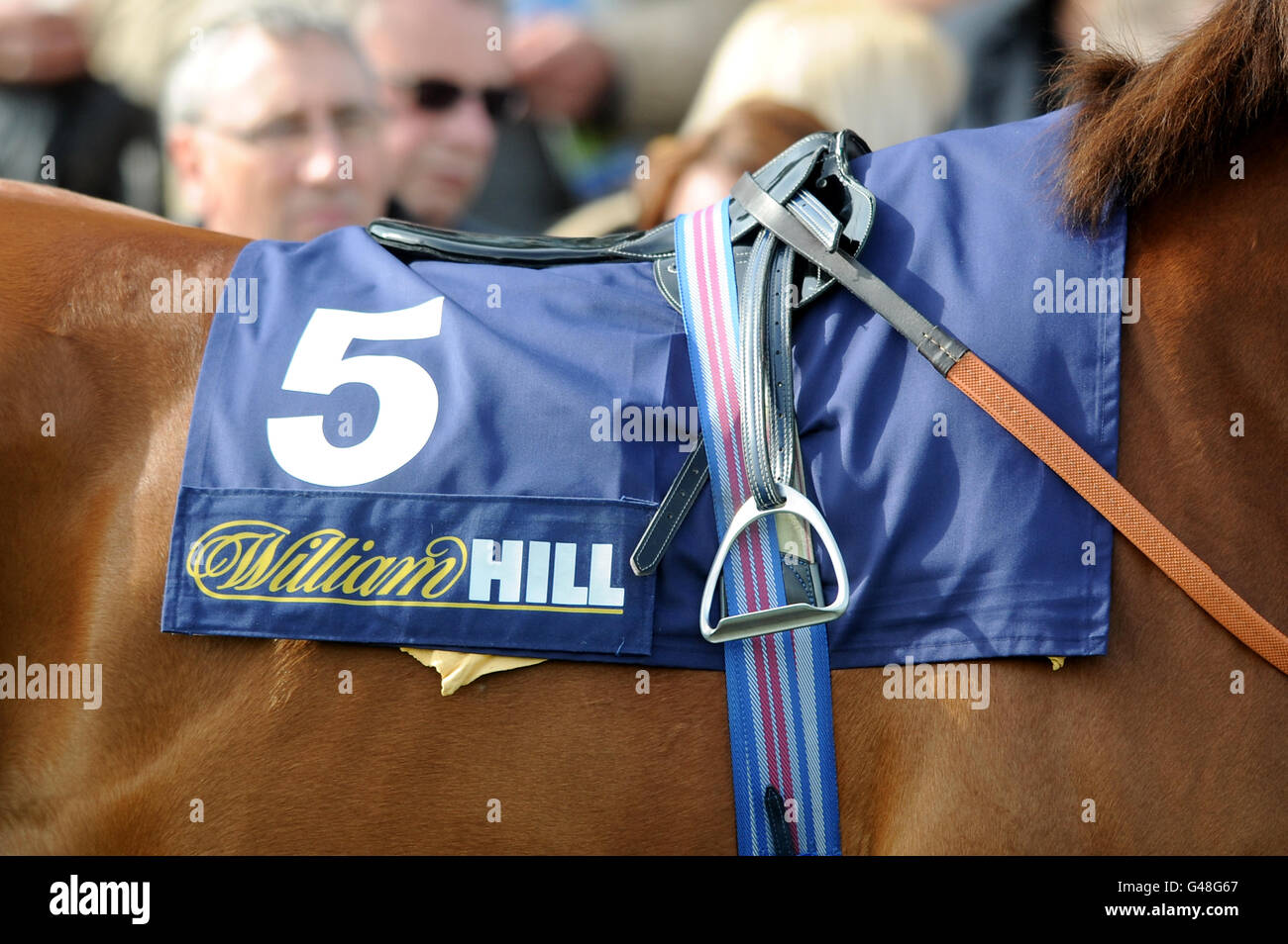 General view lincoln racecourse hi-res stock photography and images - Alamy