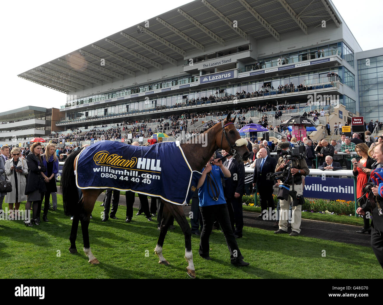 Sweet Lightning in the parade ring after victory in the William Hill ...