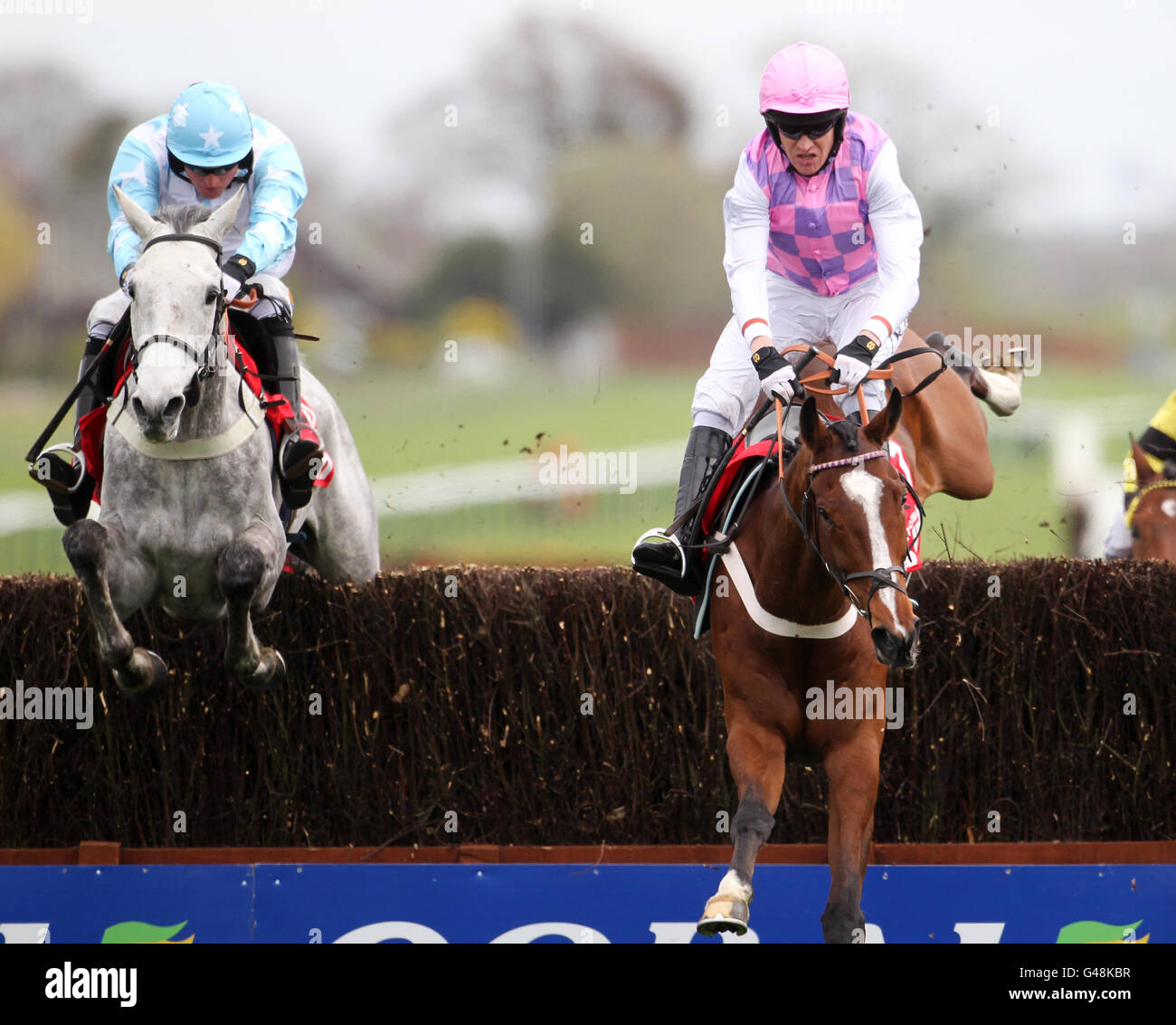 Giorgio Quercus riden by Barry Geraghty (pink) and Stagecoach Pearl ...