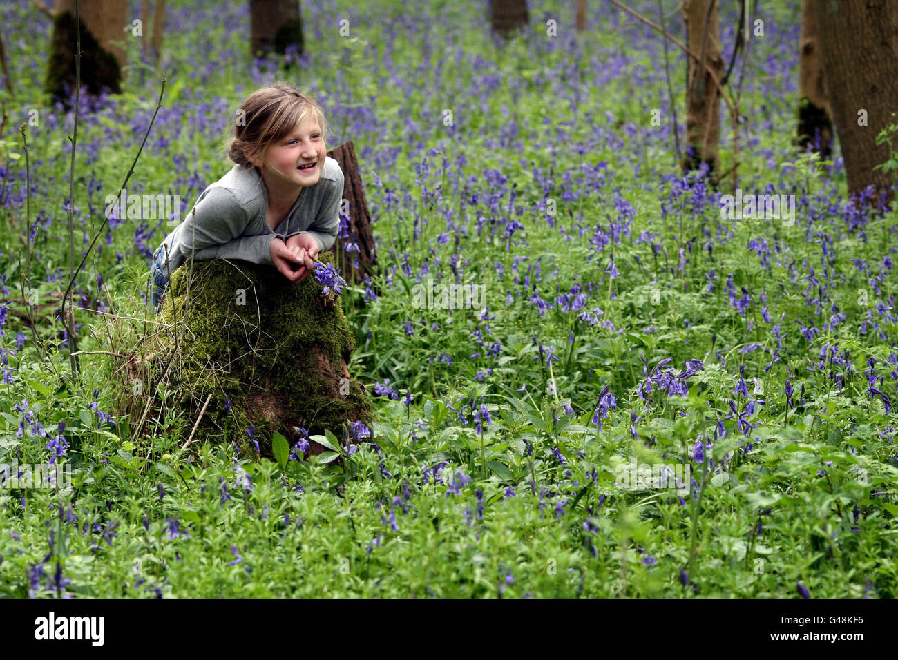 Gamlingay High Resolution Stock Photography and Images - Alamy