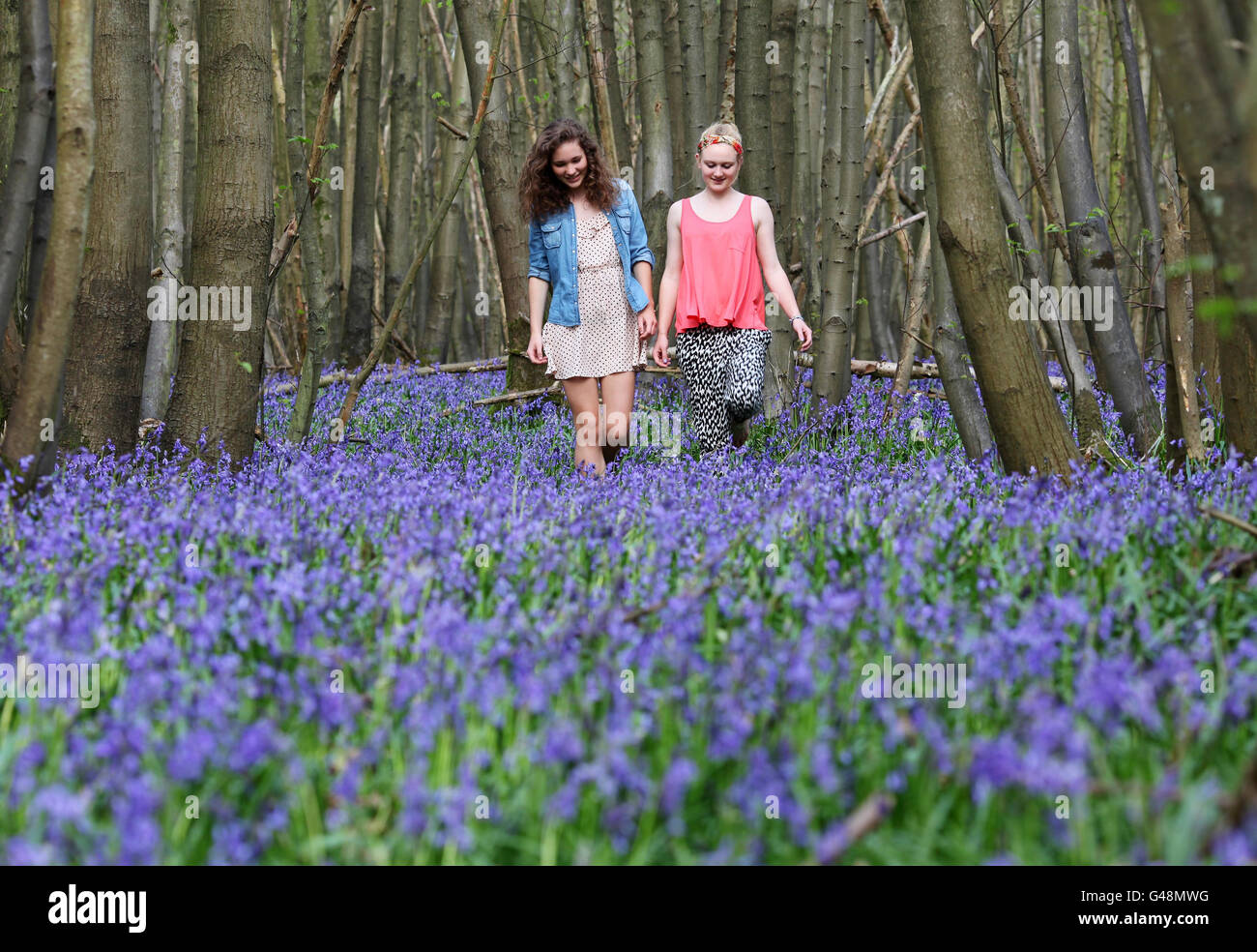 Weather spring half length mid smiling flowers mangsm hi-res stock ...