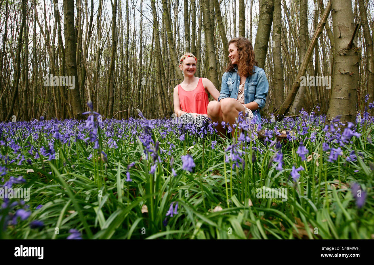 Friends Jessica Holmes (right) and Jordan Mellin admire the Bluebells ...