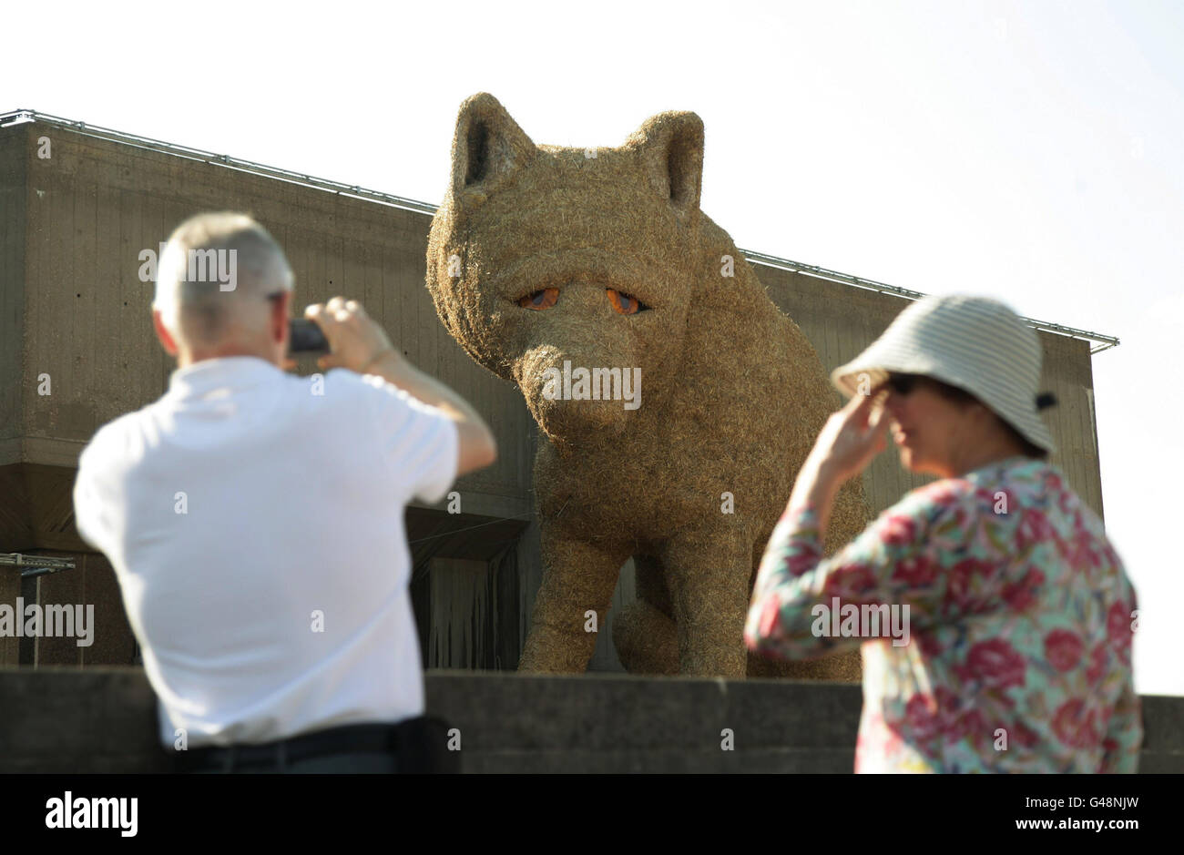 How to photograph a fox hi-res stock photography and images - Alamy