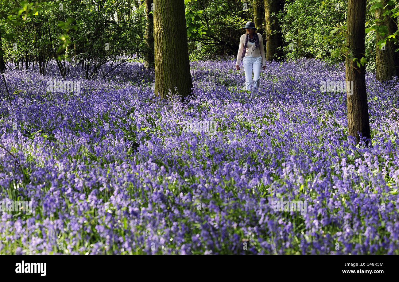 Summer weather April 25 Stock Photo - Alamy