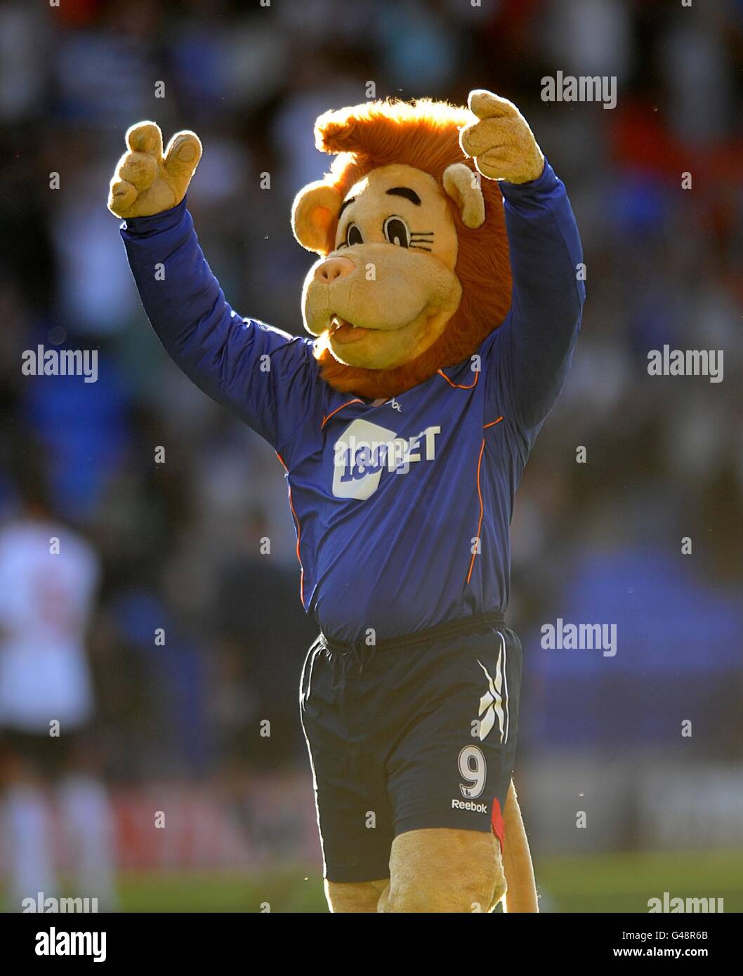 Bolton wanderers mascot lofty lion hi-res stock photography and images ...