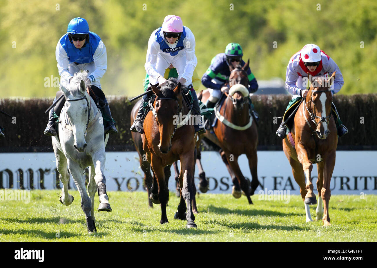 Racing perth full length galloping mangsk hi-res stock photography and ...