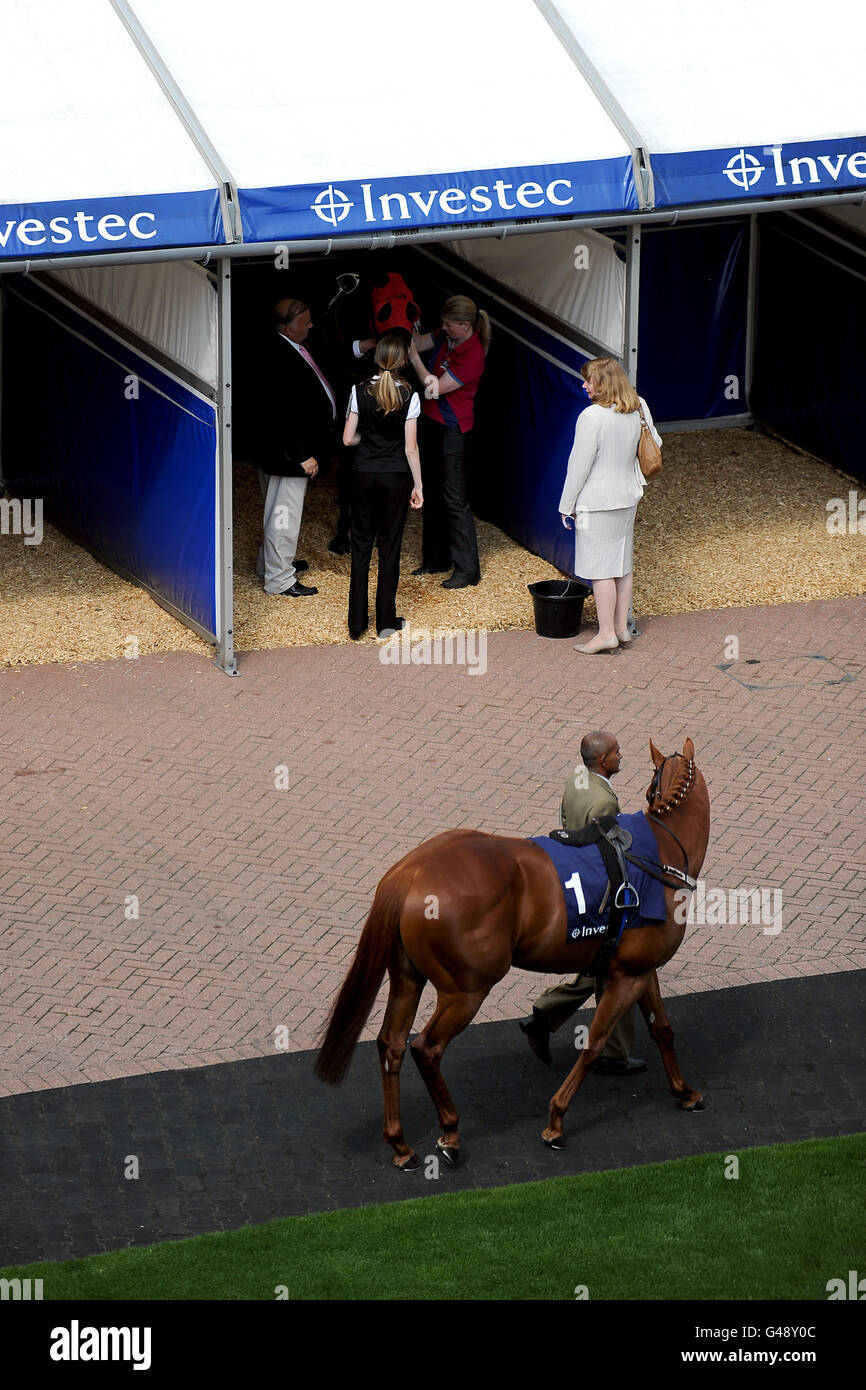 General view of the derby stables at epsom downs racecourse hi-res ...