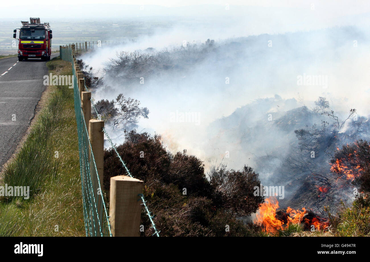 Ireland forest fires hi-res stock photography and images - Alamy