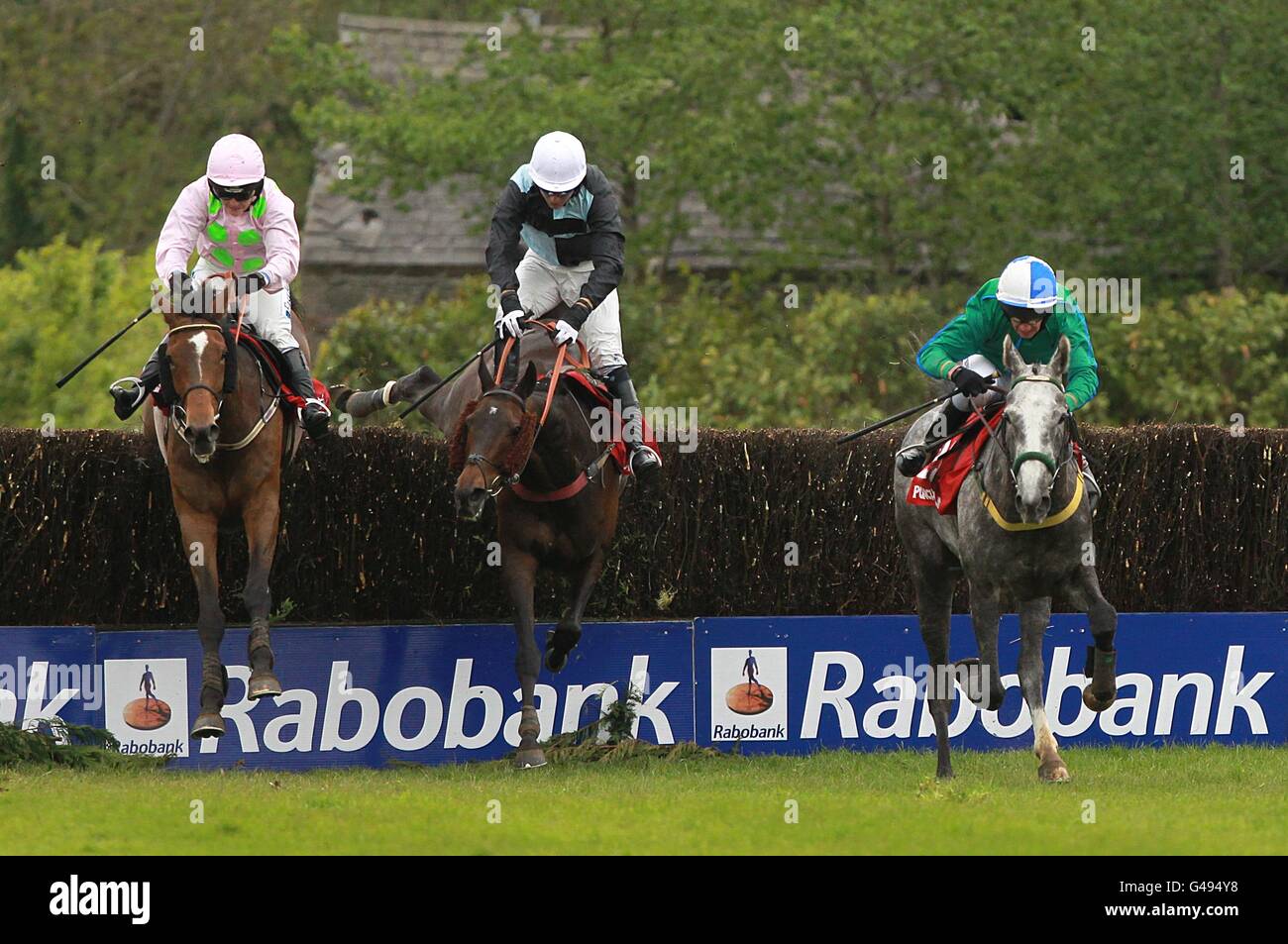 Pomme horse hi-res stock photography and images - Alamy