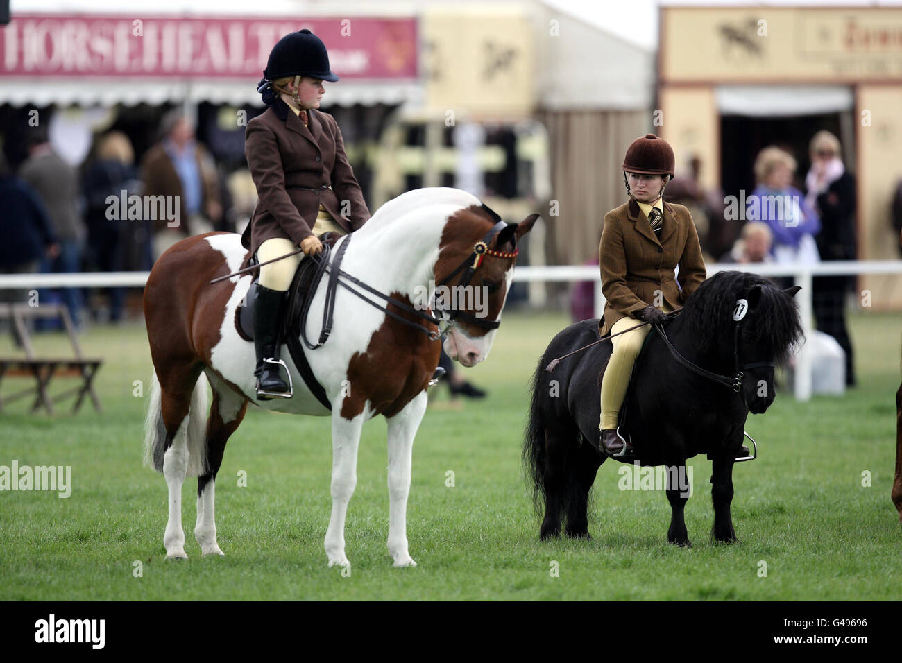Horses of all sizes compete in the Veteran Horse and Pony class at the ...