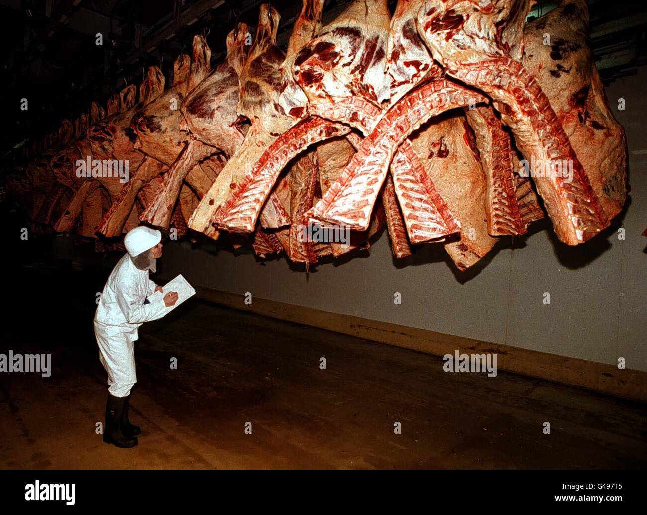Meat hygiene inspection hi-res stock photography and images - Alamy