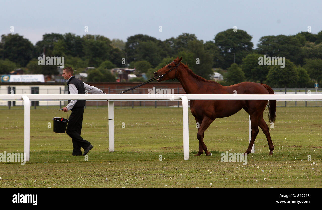 Horse racing races emirates airline yorkshire cup full length ...