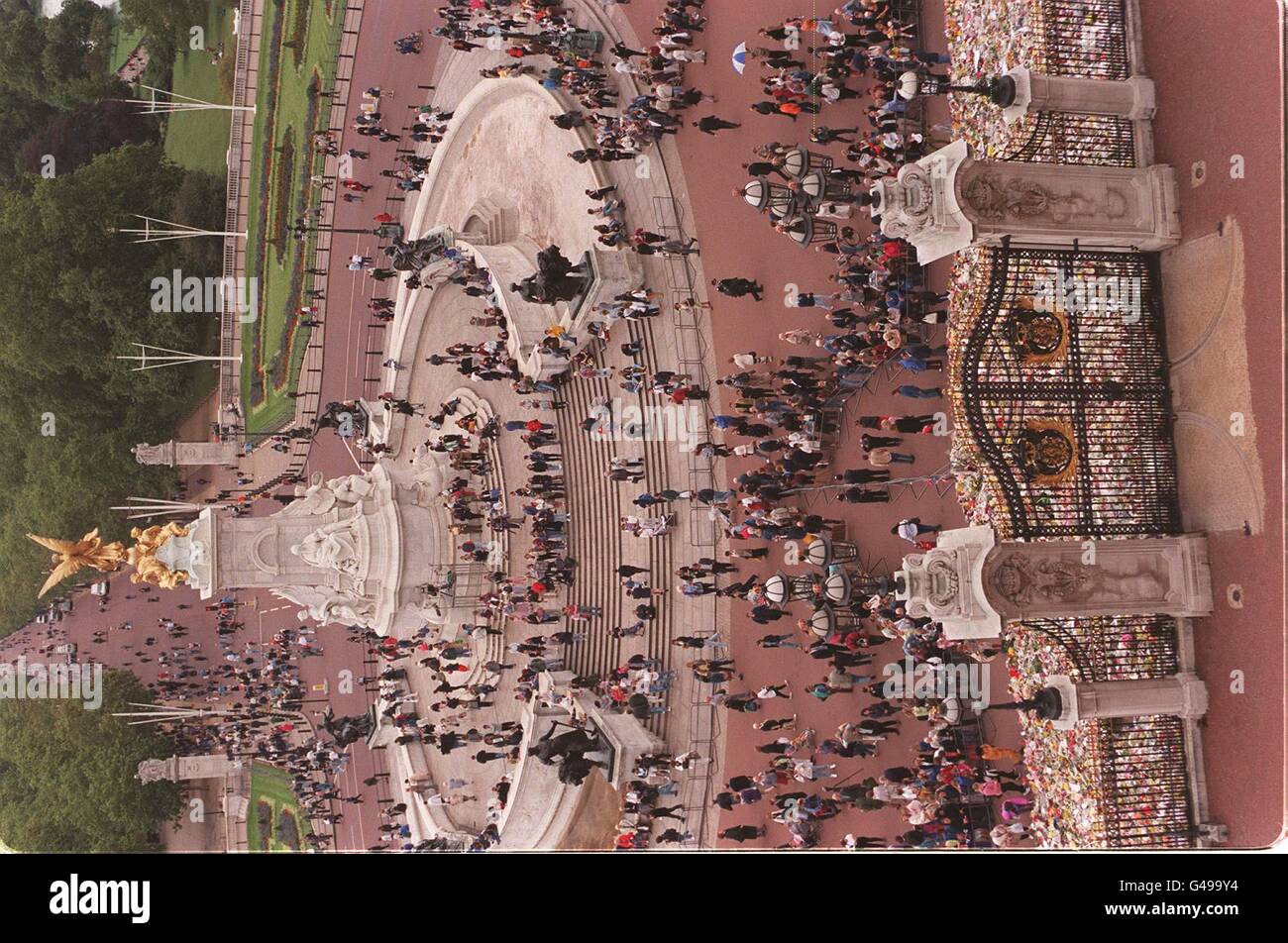 Buck Pal High Resolution Stock Photography and Images - Alamy