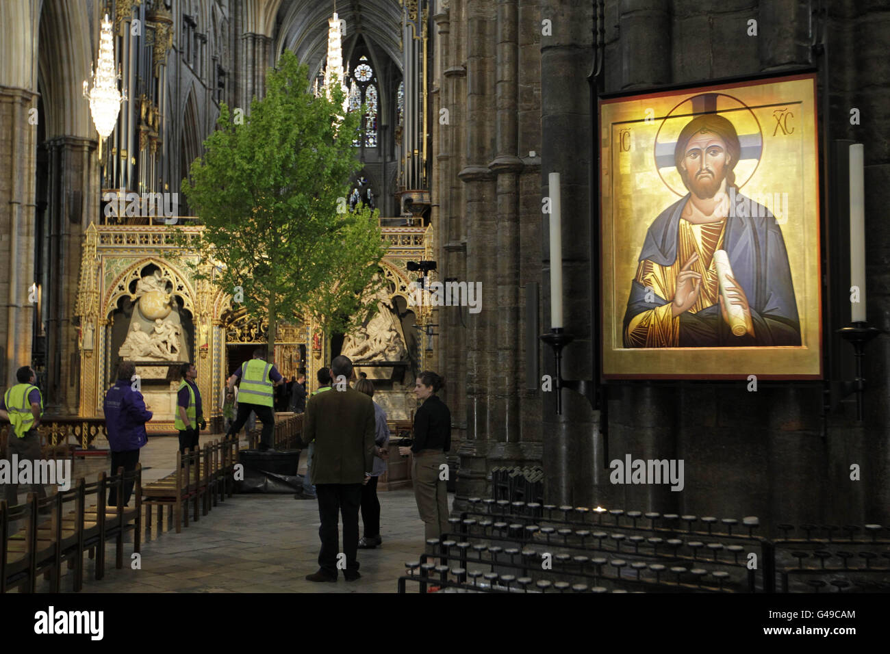 Workers place an English field maple tree in Westminster Abbey in ...