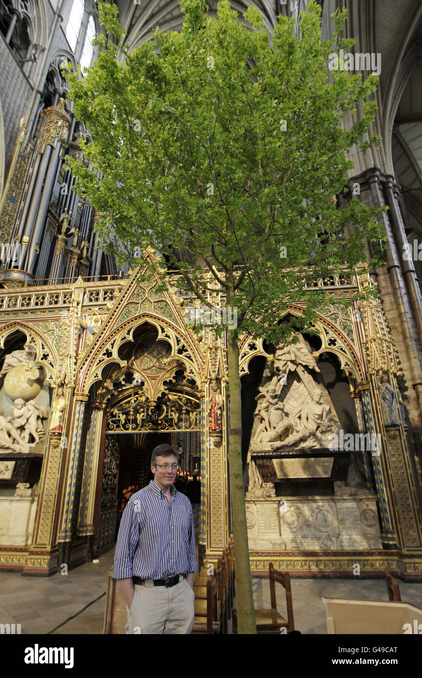 Florist Designer, Shane Connolly poses by an English field maple tree ...