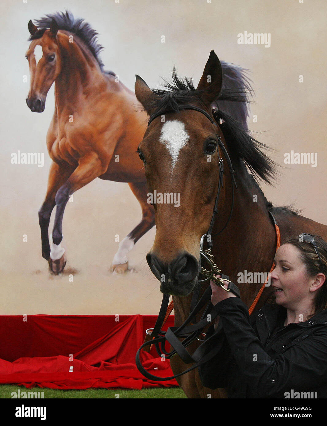 Istabraq champion hi-res stock photography and images - Alamy