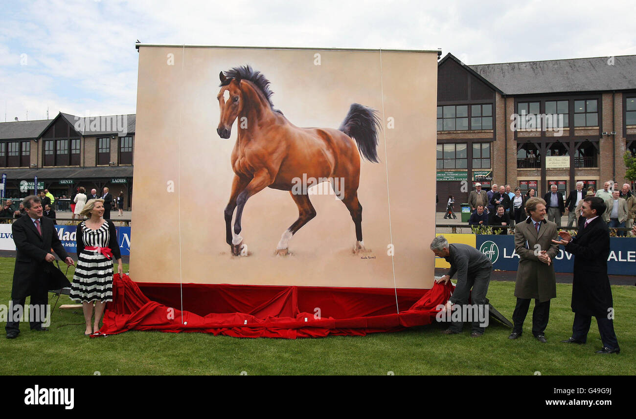 Istabraq horse hi-res stock photography and images - Alamy