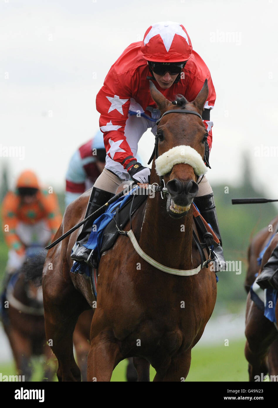 Racing york full length riding mangsm hi-res stock photography and ...