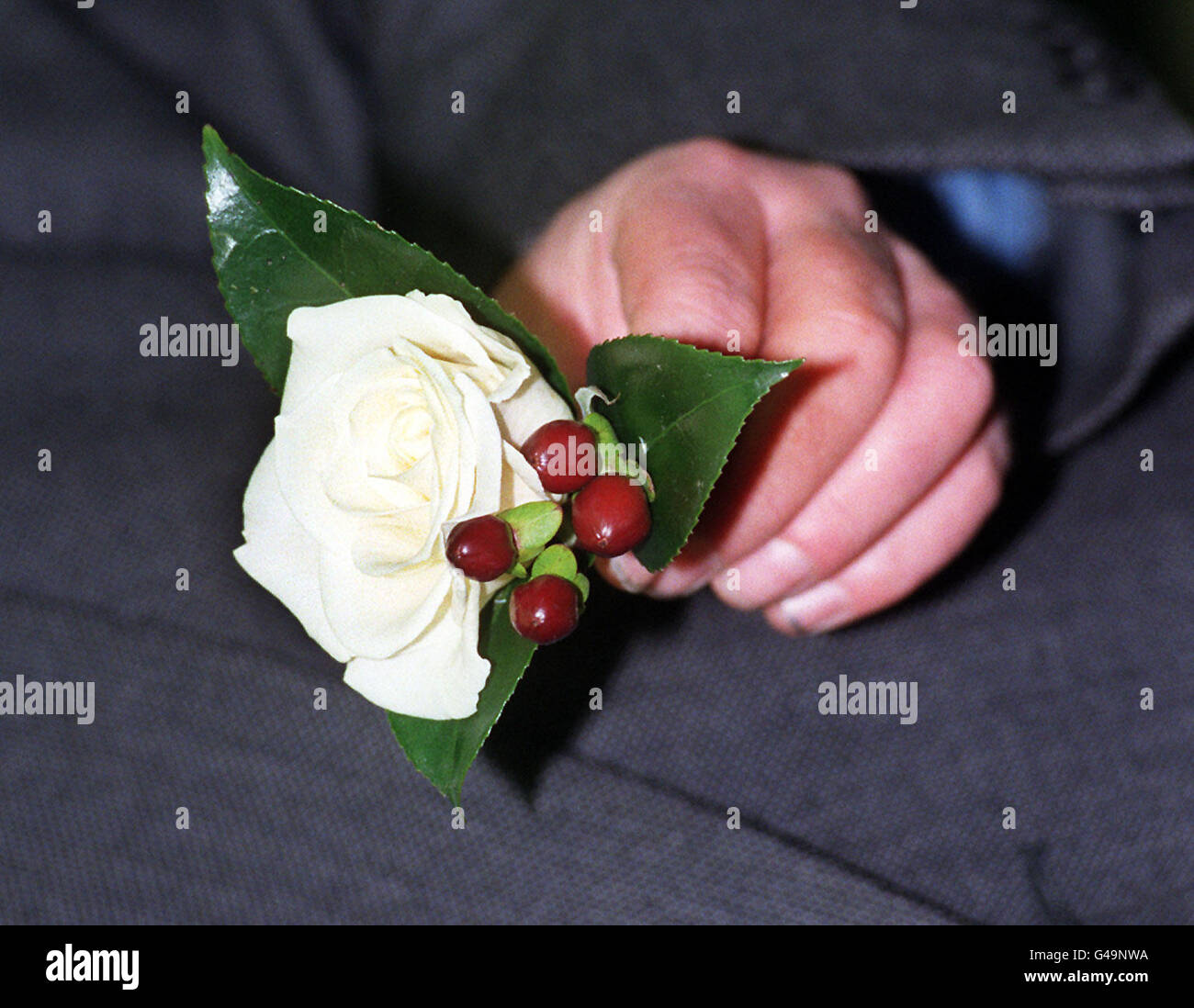The scented, white Bianca Rose with Hypersicum and Camelia leavess ...