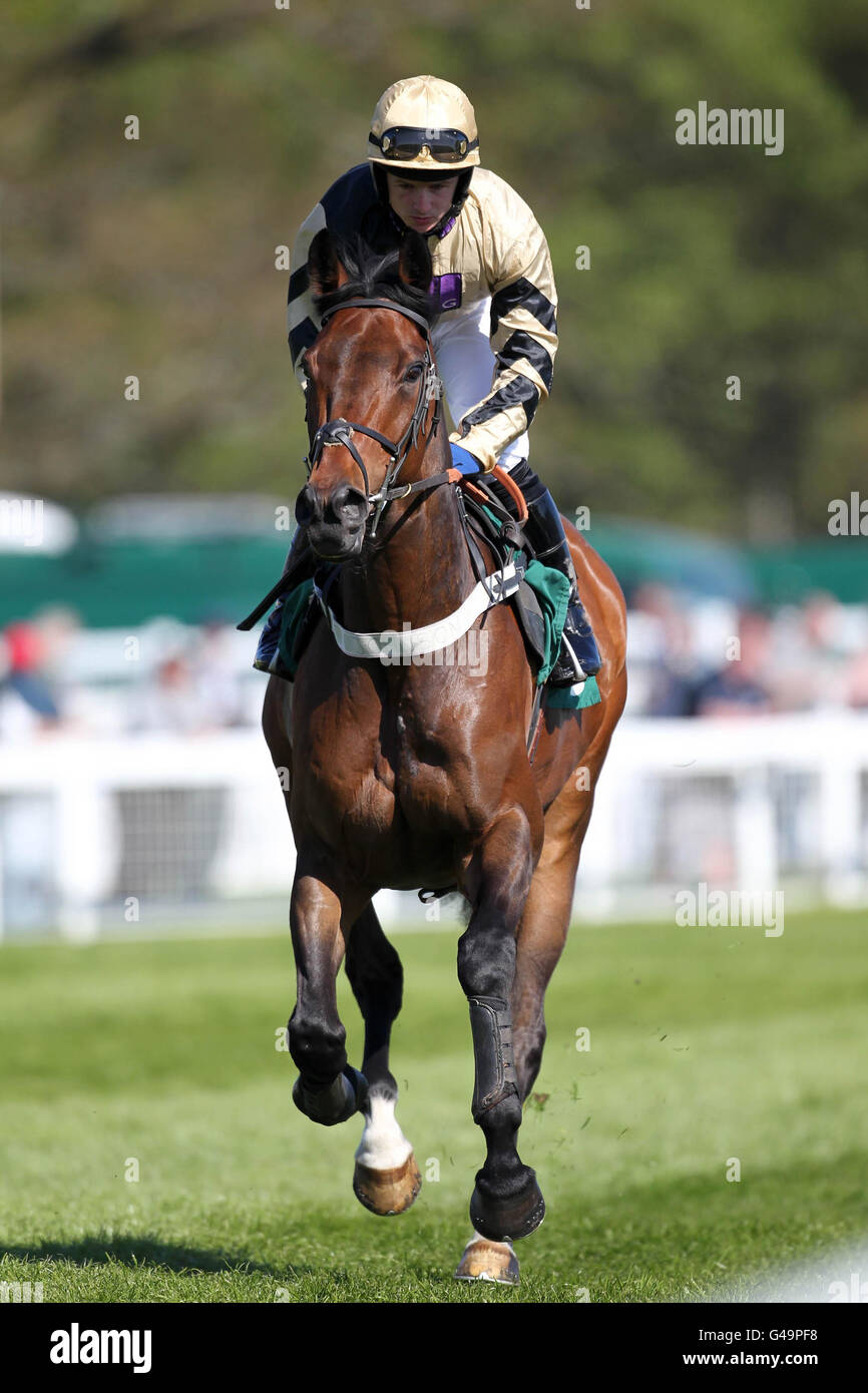 Racing perth full length galloping mangsk hi-res stock photography and ...