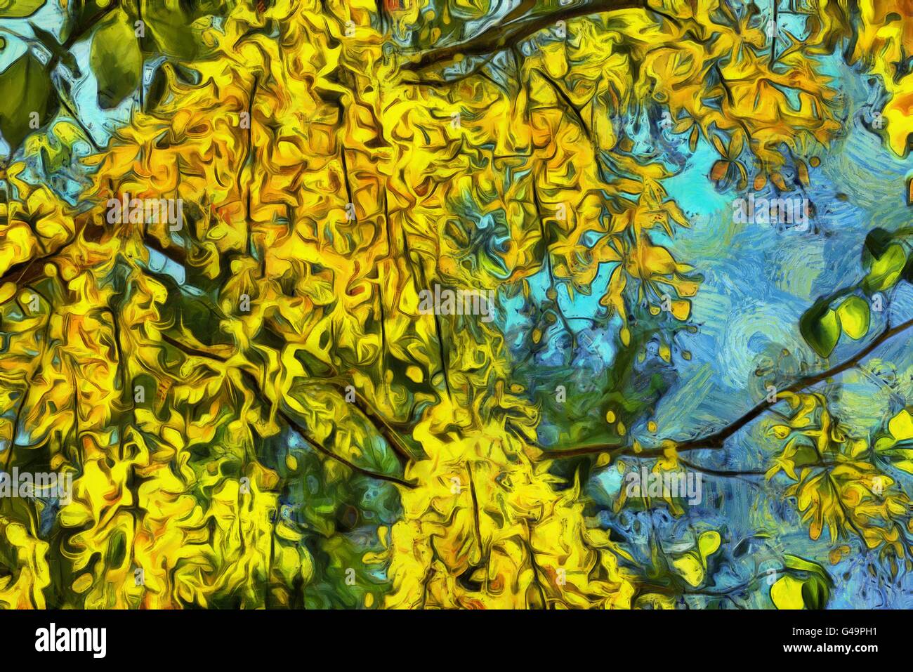 Cluster of yellow hanging flowers hi-res stock photography and images ...