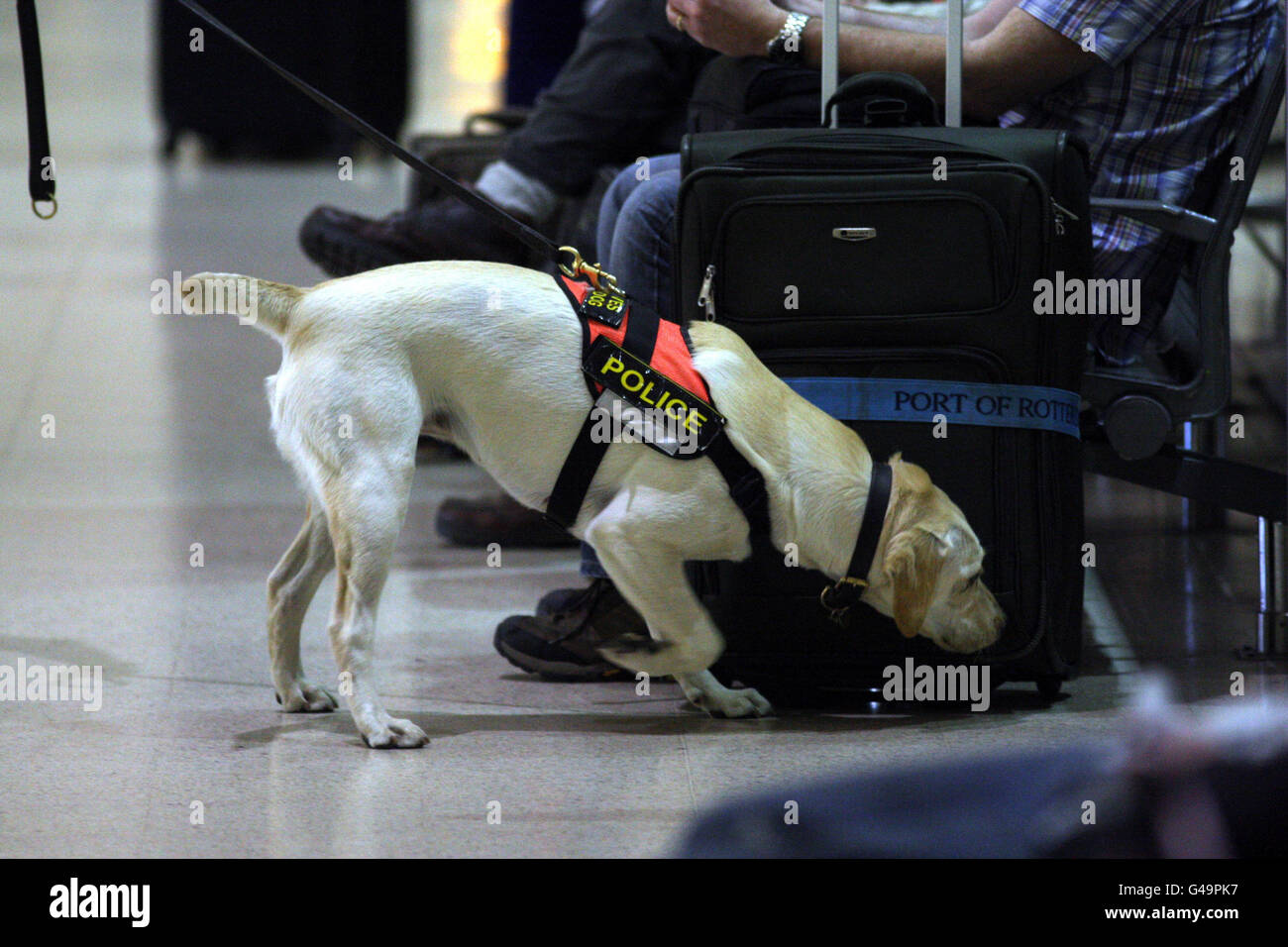 Police officers and their search dogs carry out routine searches of ...