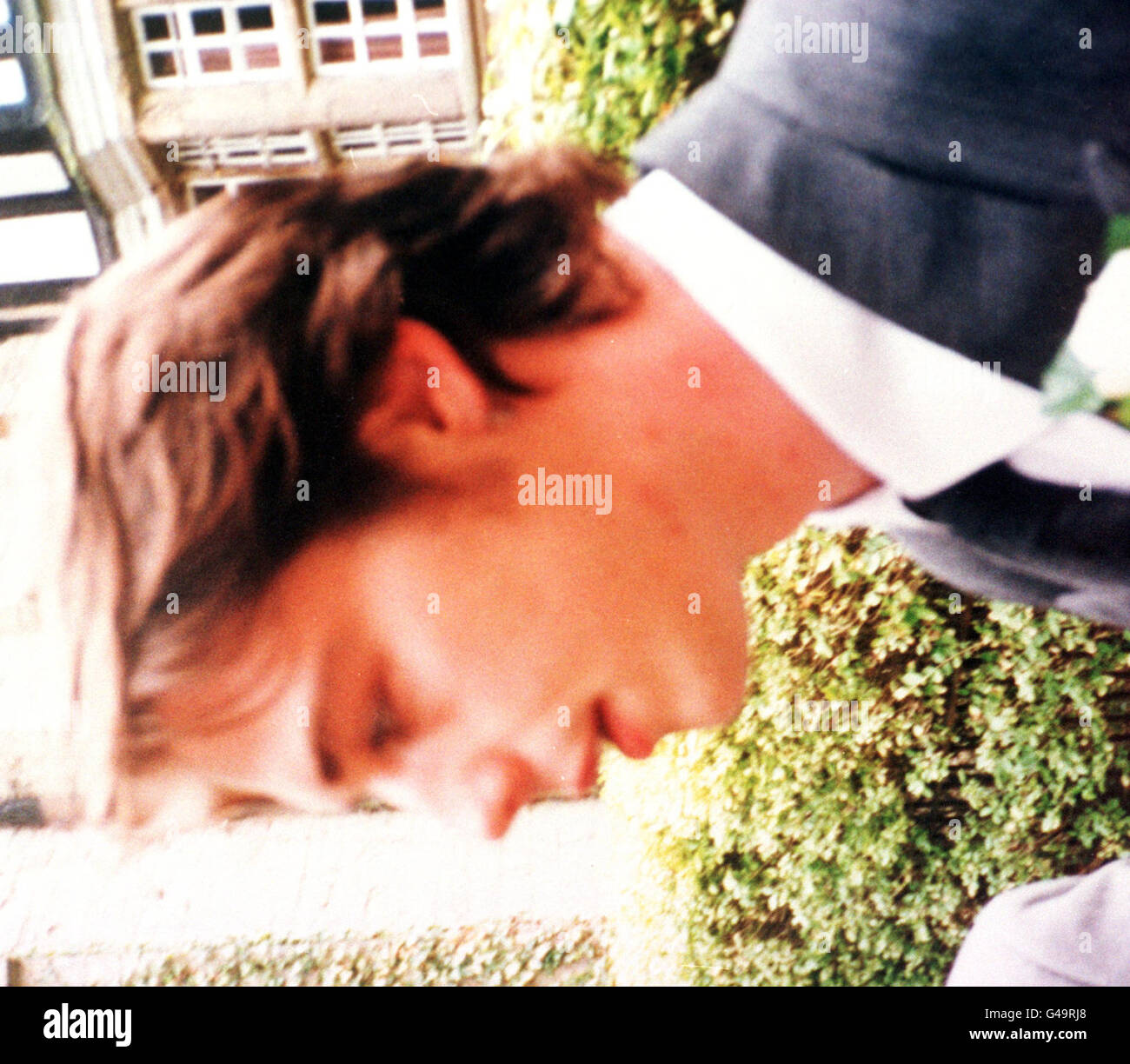 COURTS Collect Peter Lewis Stock Photo - Alamy