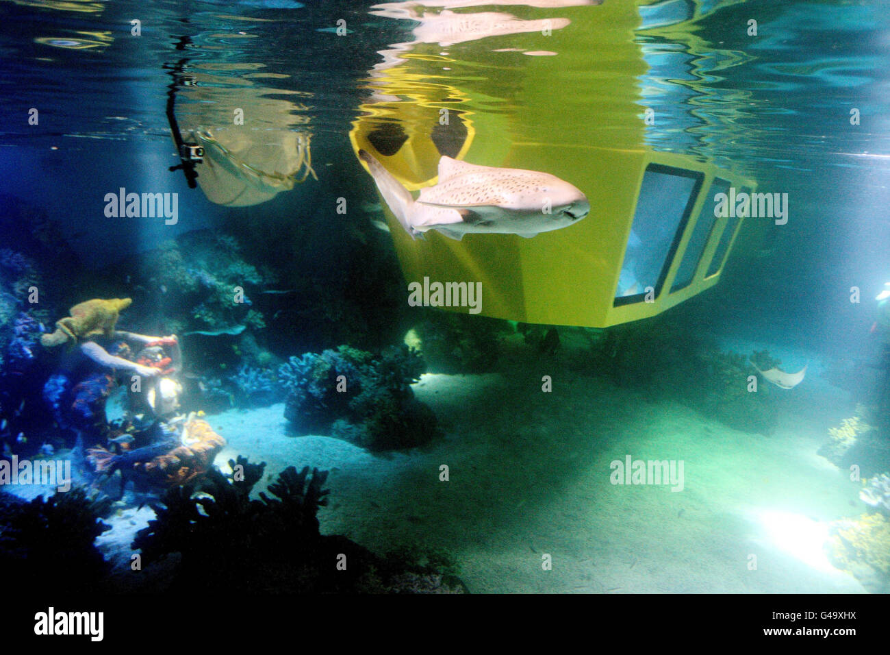 New Legoland Atlantis ride Stock Photo - Alamy