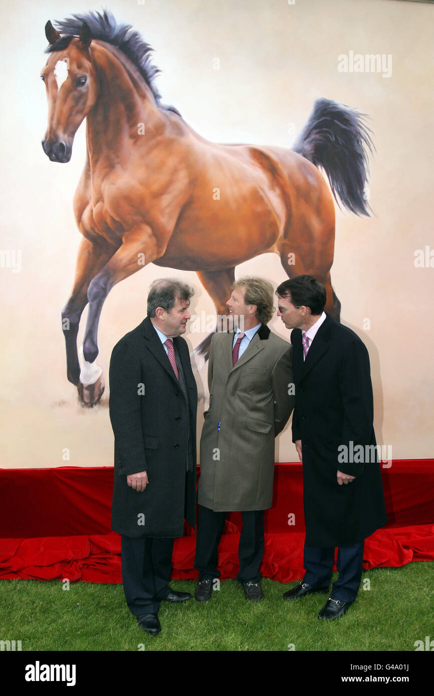 Charlie swan and istabraq right hi-res stock photography and images - Alamy