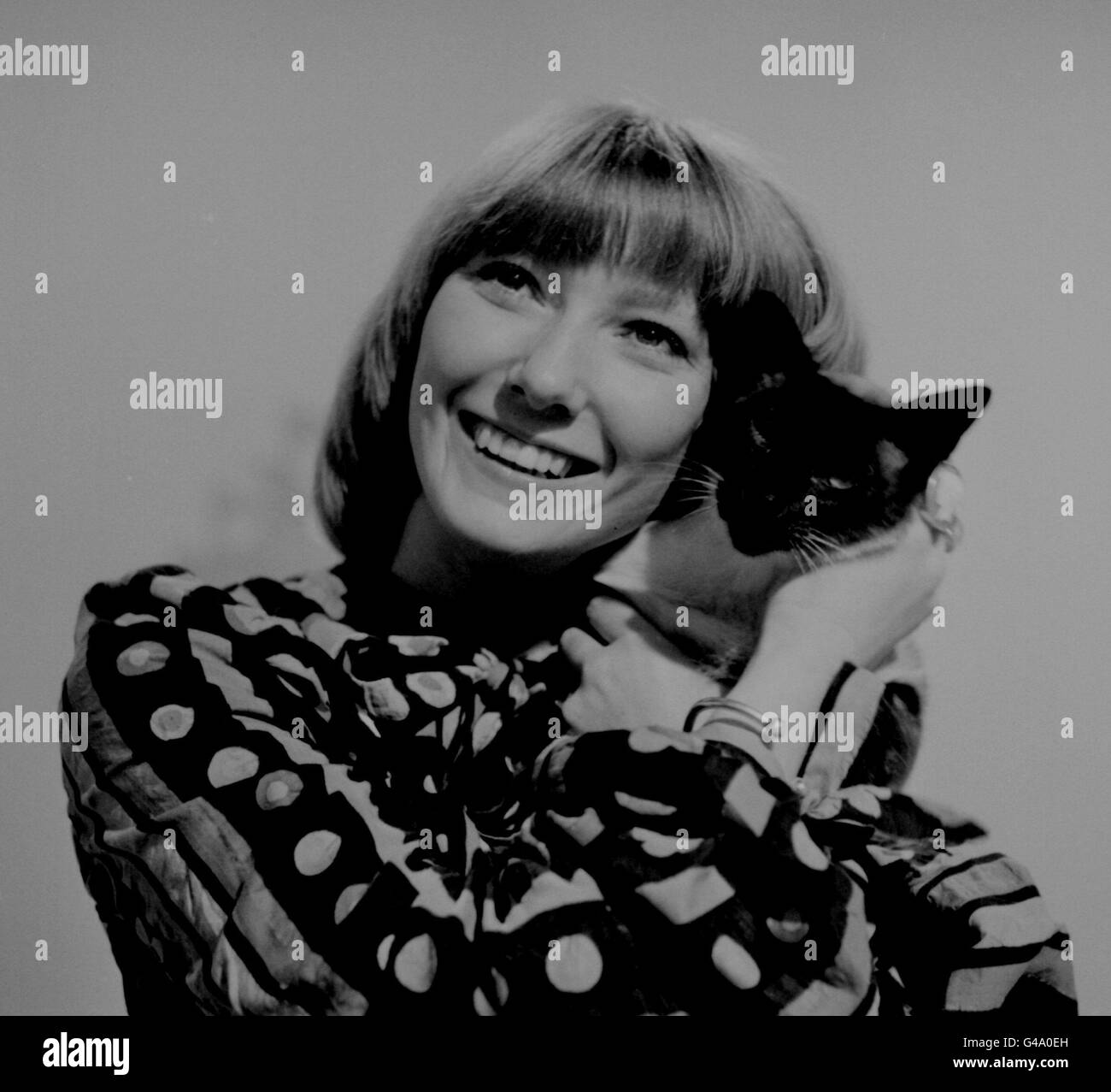 JASON, THE BBC BLUE PETER CAT, SNUGGLES UPTO FORMER 'YOUNG GENERATION ...