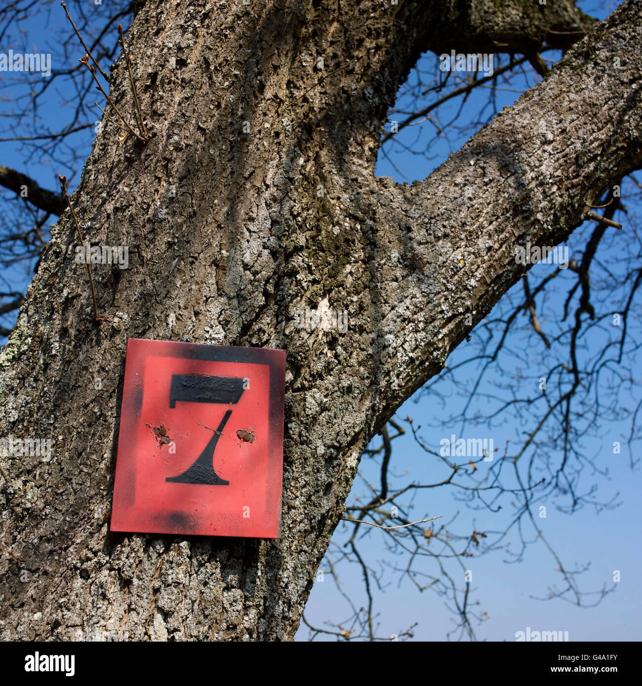 Sign "7" on a tree Stock Photo - Alamy