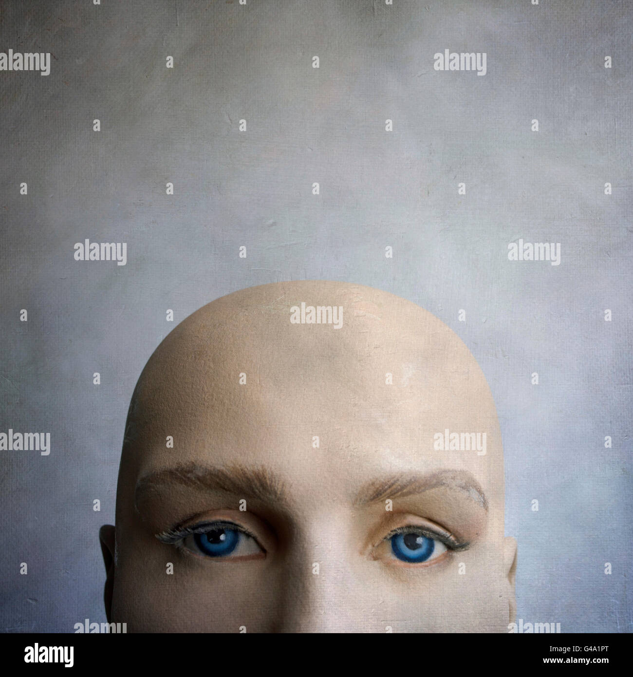 Head of a dummy Stock Photo - Alamy