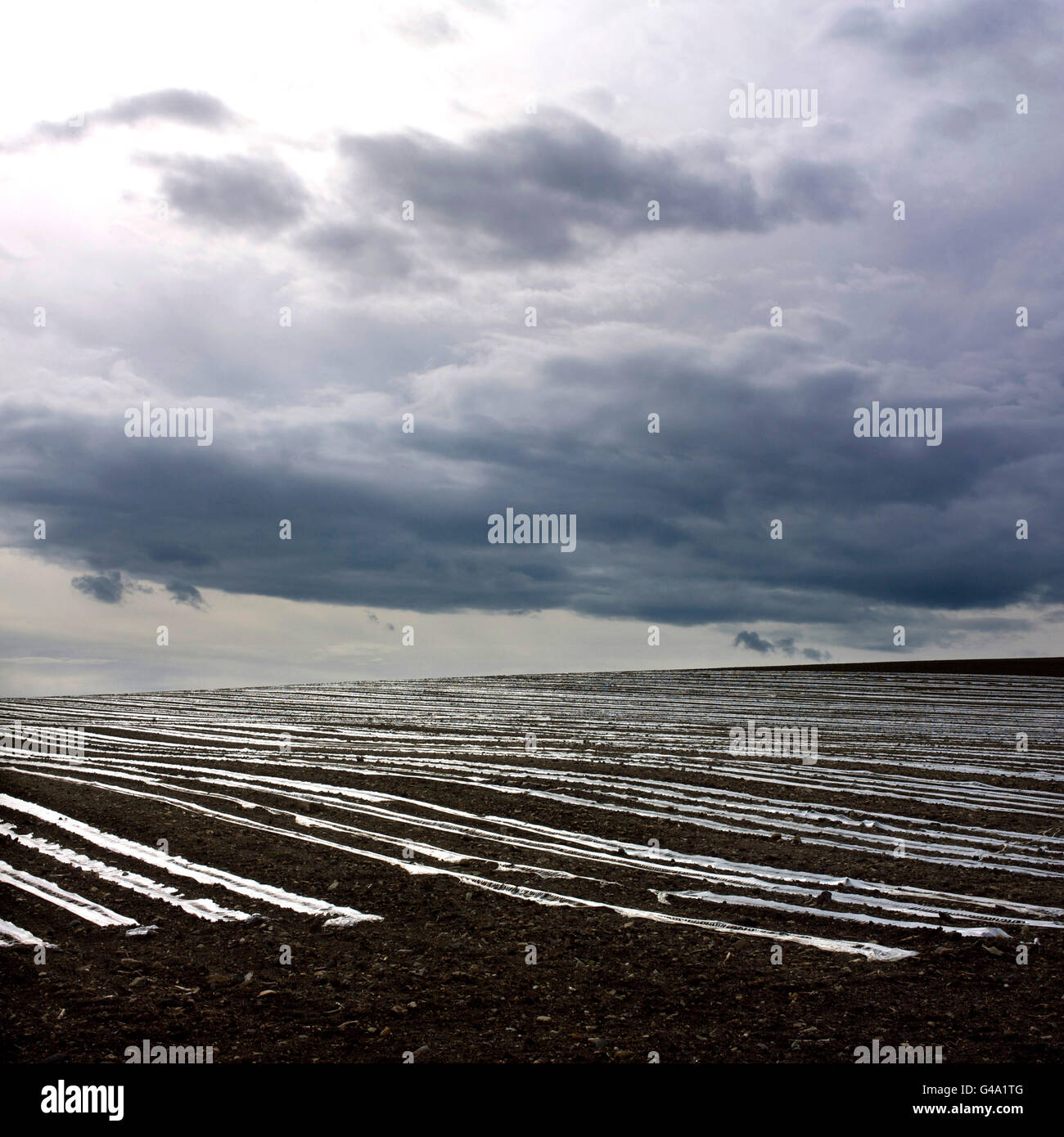 Tarp covered field hi-res stock photography and images - Alamy