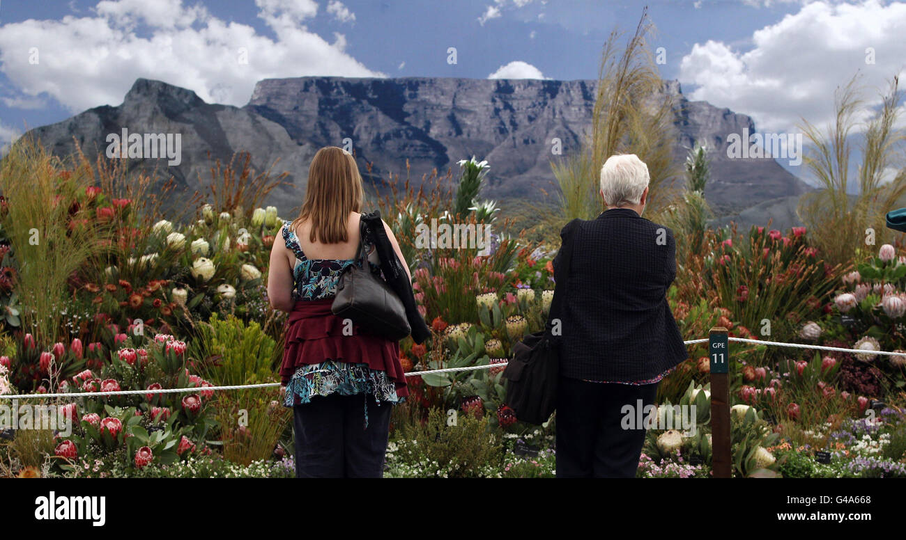 People look at flowers in the South African Kirstenbosch National ...