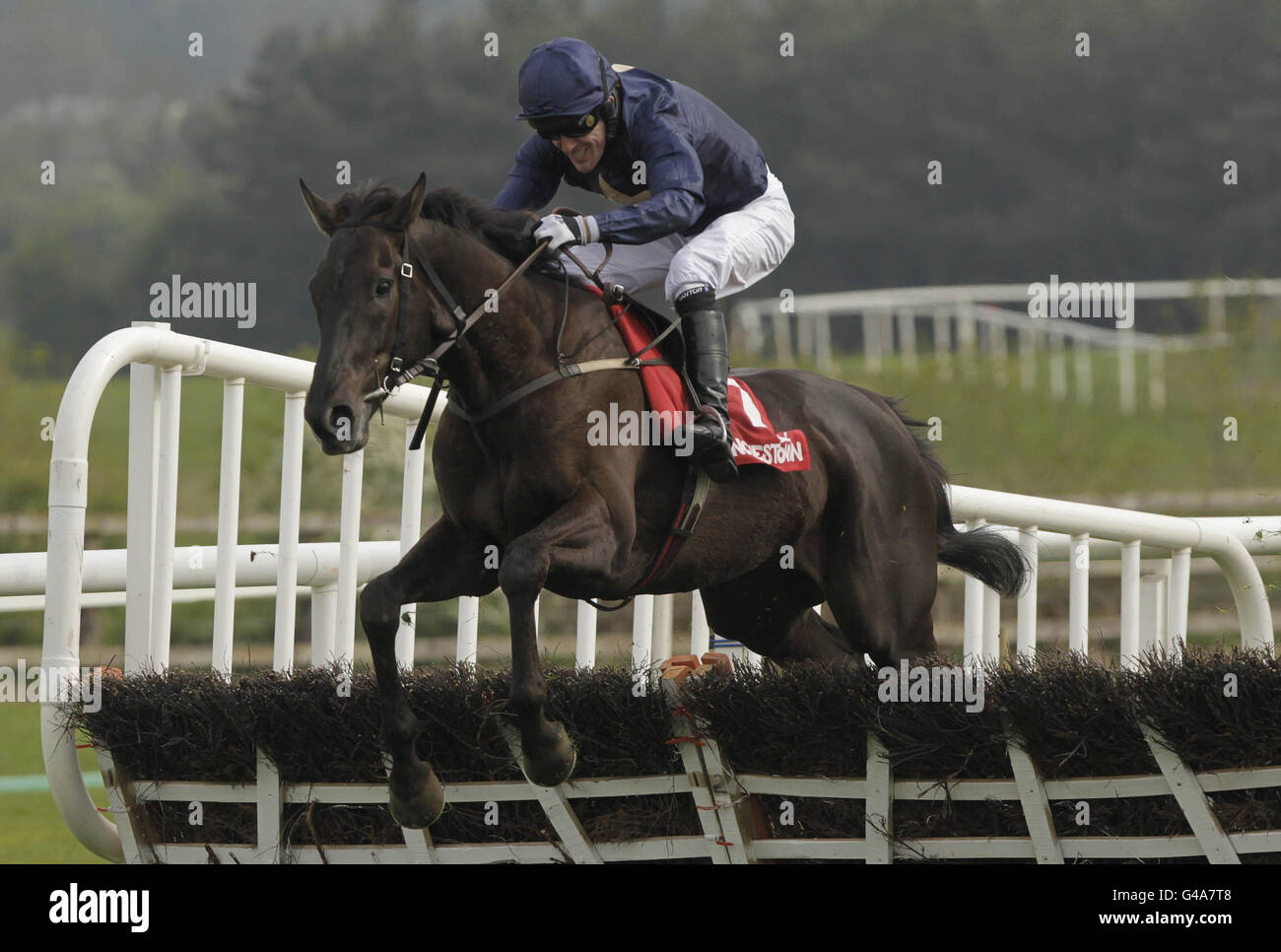 Horse Racing - 2011 Punchestown Festival - The Punchestown Guinness ...
