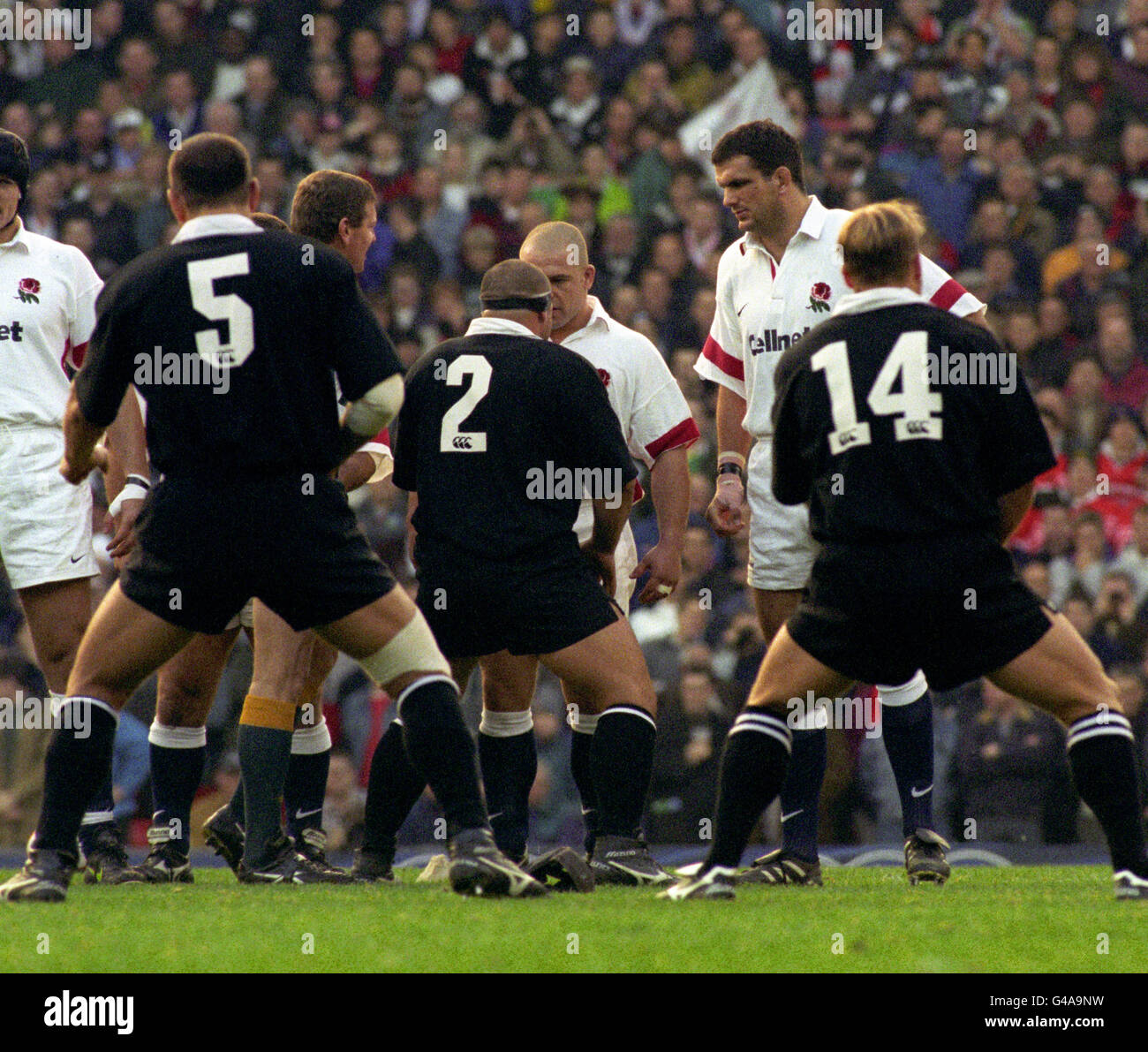RUGBY Eng v NZ/haka 2 Stock Photo - Alamy