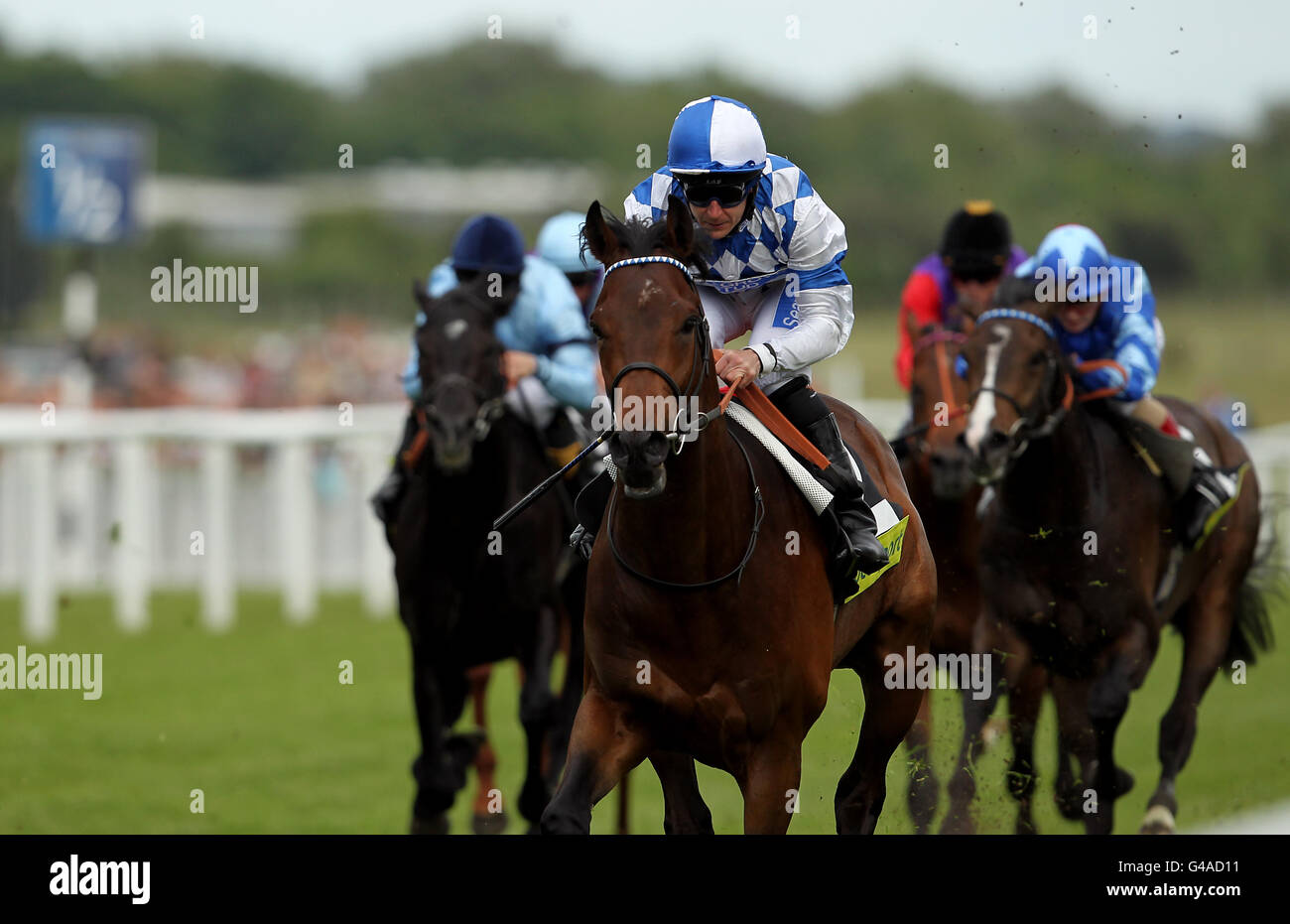 Jockey steve drowne at newbury racecourse hi-res stock photography and ...