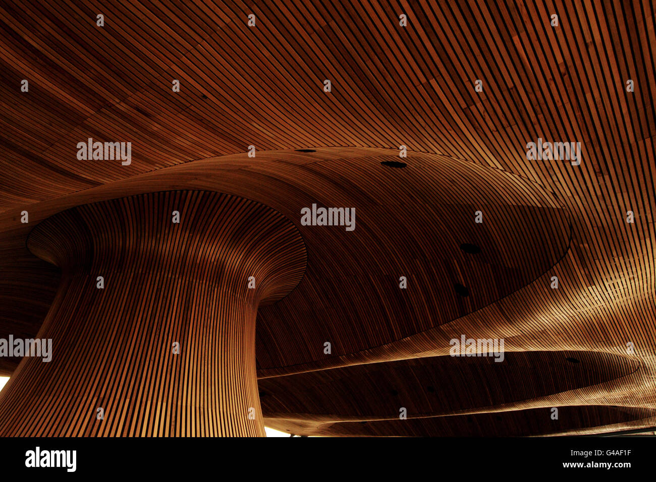 The interior of The Senedd, also known as the National Assembly ...