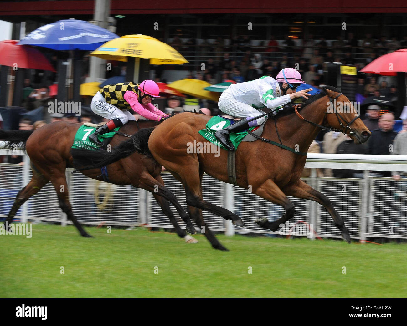 Jockey fran berry hi-res stock photography and images - Alamy