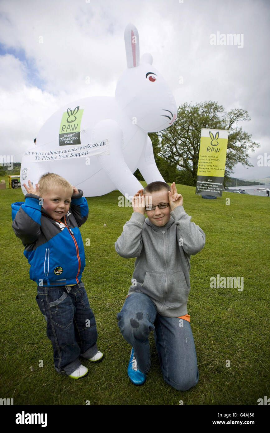 Rabbit Awareness Week Stock Photo - Alamy