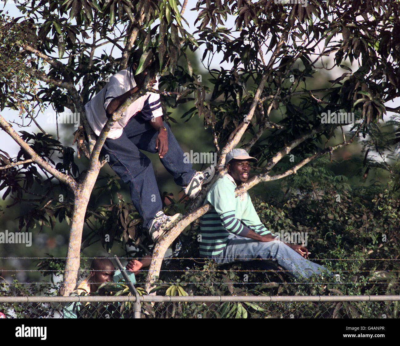 Cricket ground surrounded by trees hi-res stock photography and images ...