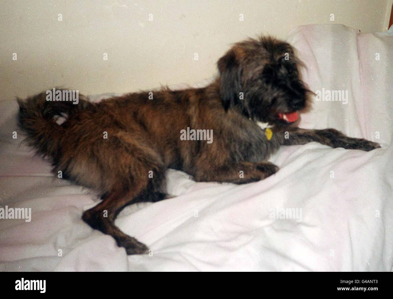 Alfred law hi-res stock photography and images - Alamy