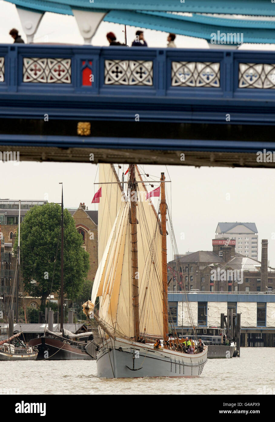 A 121ft restored wooden sailing freighter named 'The Irene' passes ...