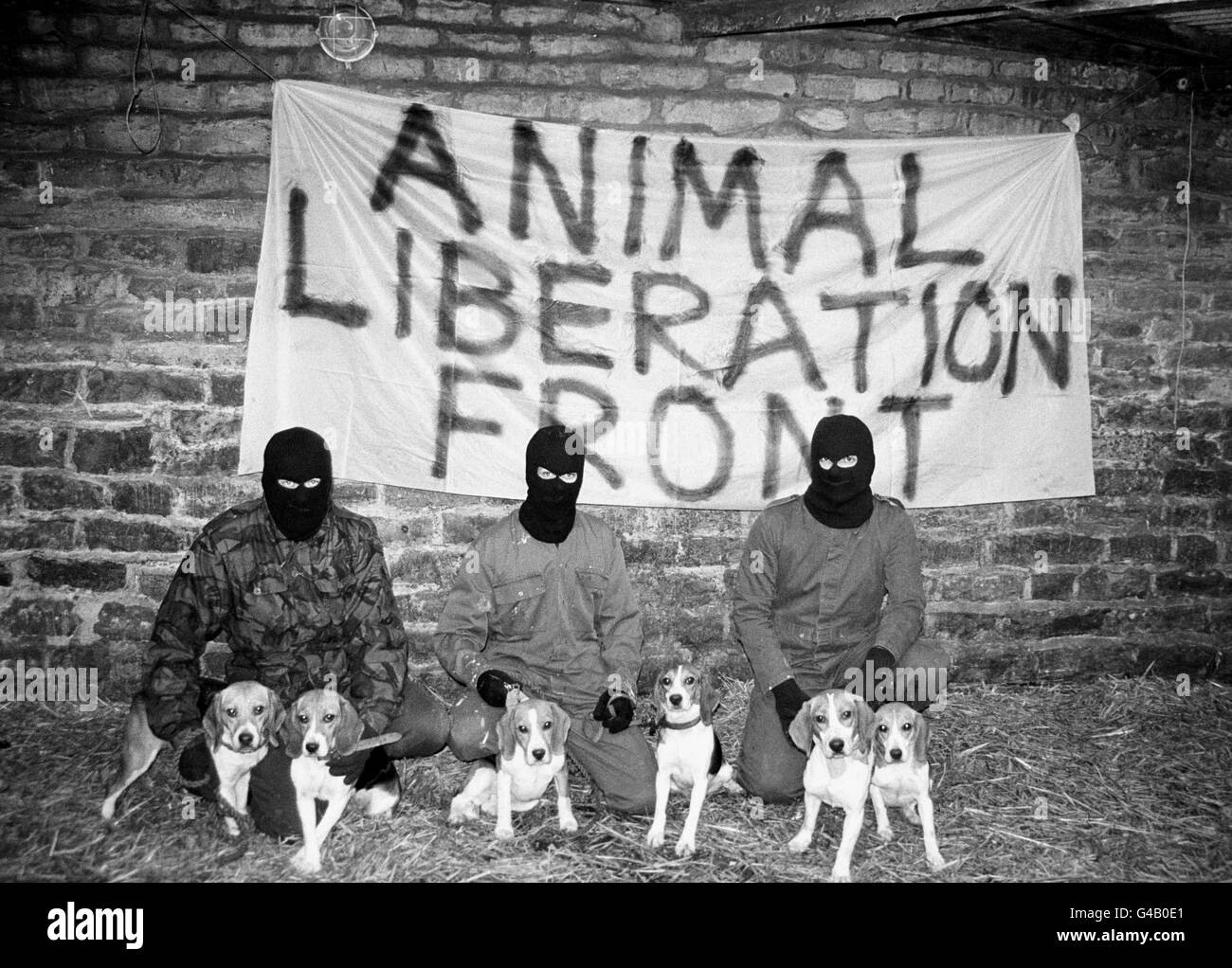 Animal liberation front hi-res stock photography and images - Alamy
