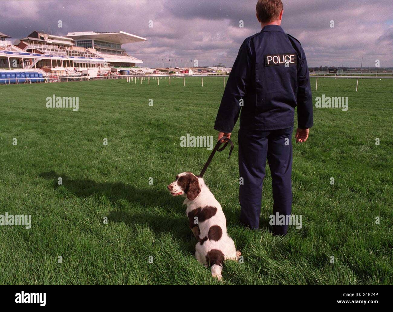 Aintree sniffer dog Stock Photo - Alamy