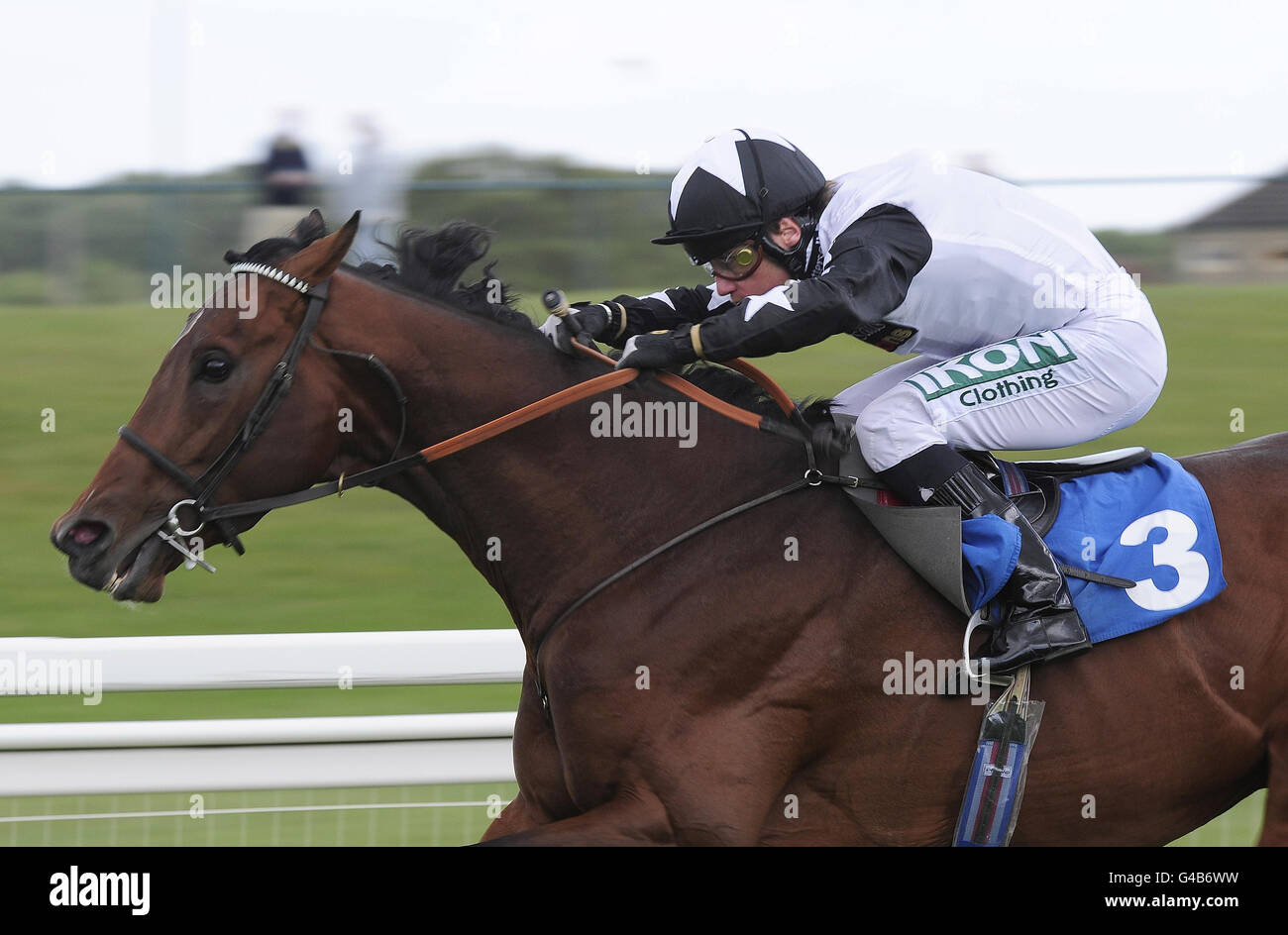 Horse Racing - Ripon Stock Photo - Alamy